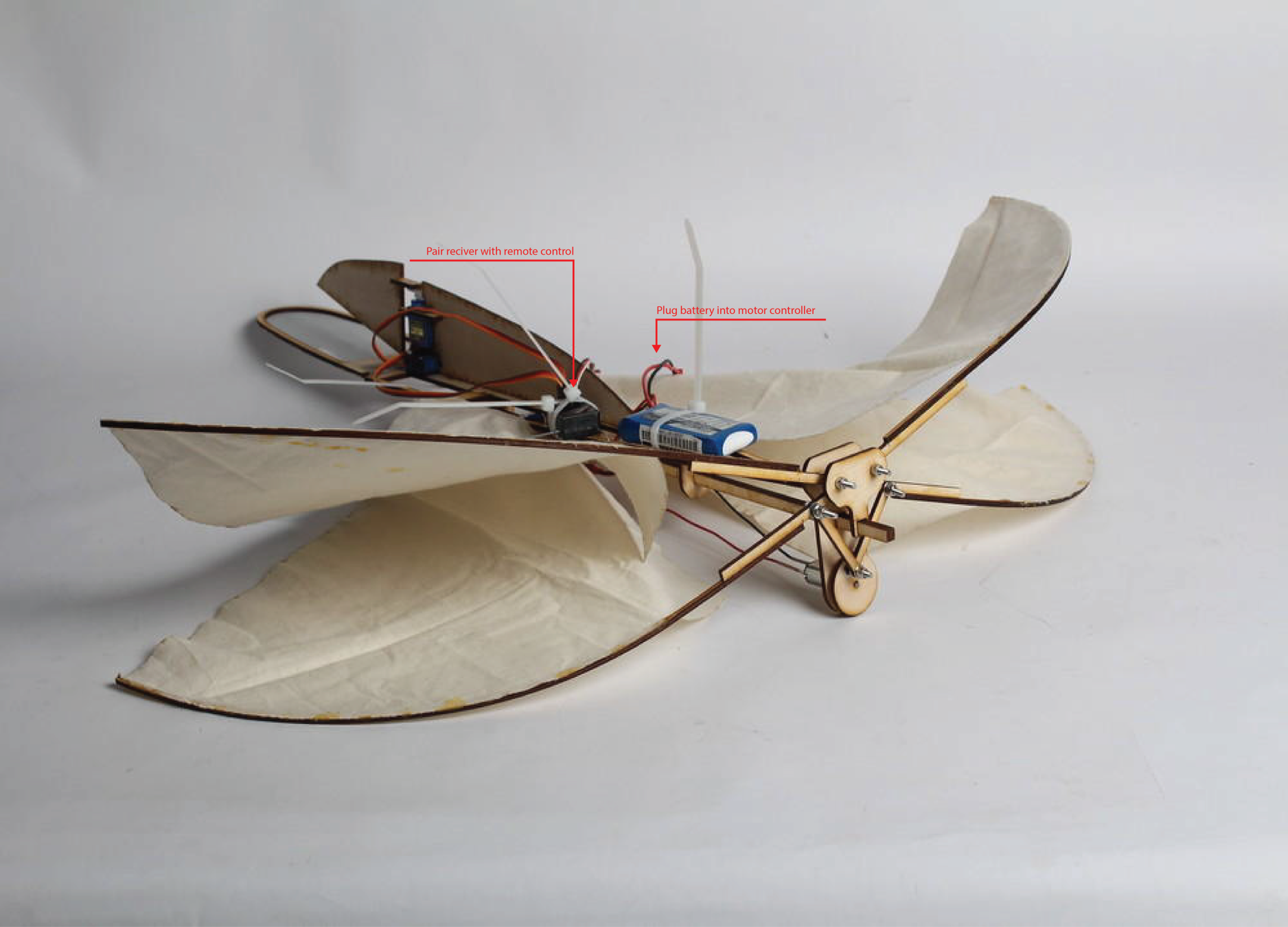 Flapping Wing | NuVu Cambridge