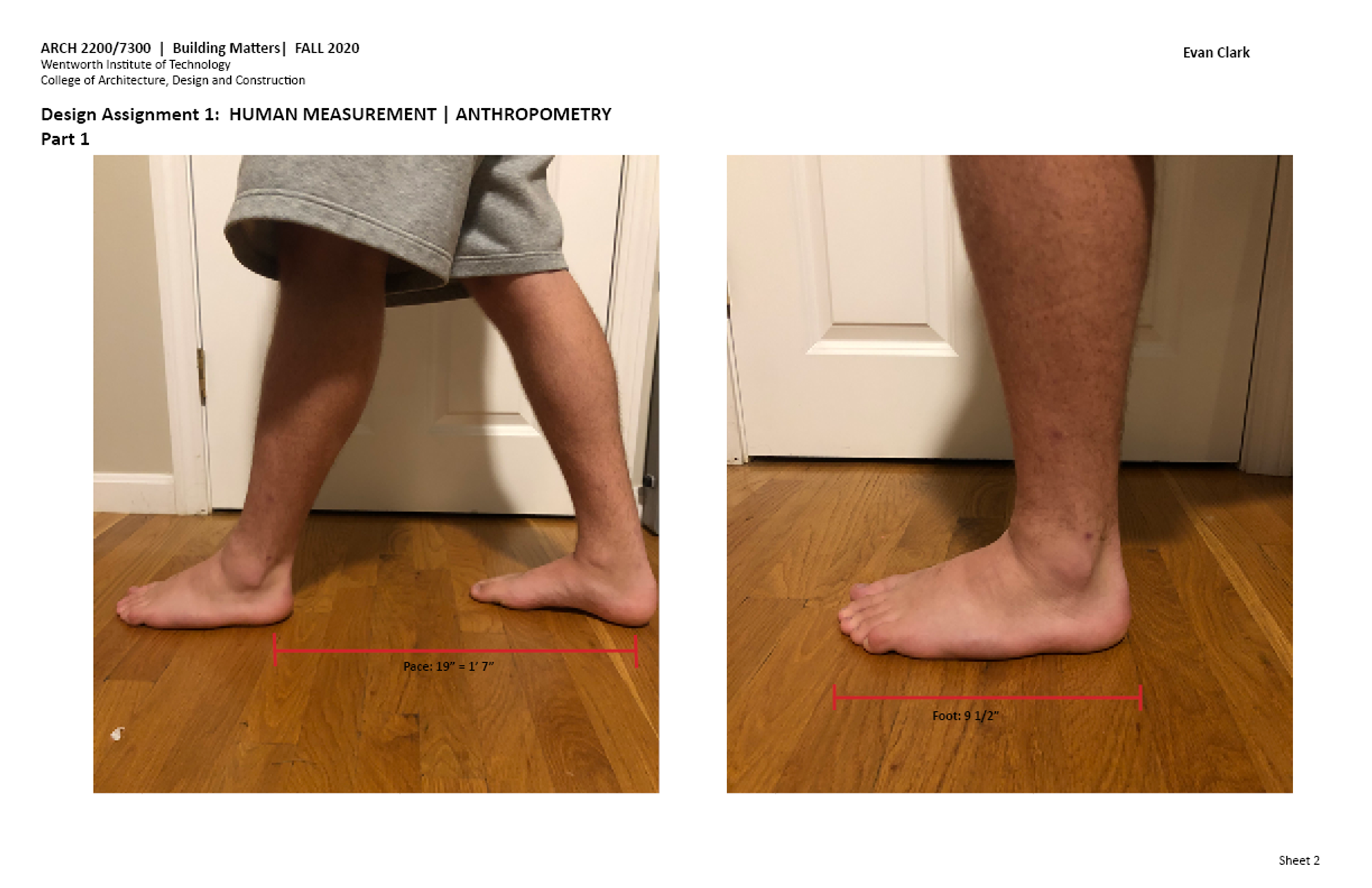 Anthropometry Assignment | Wentworth Institute of Technology